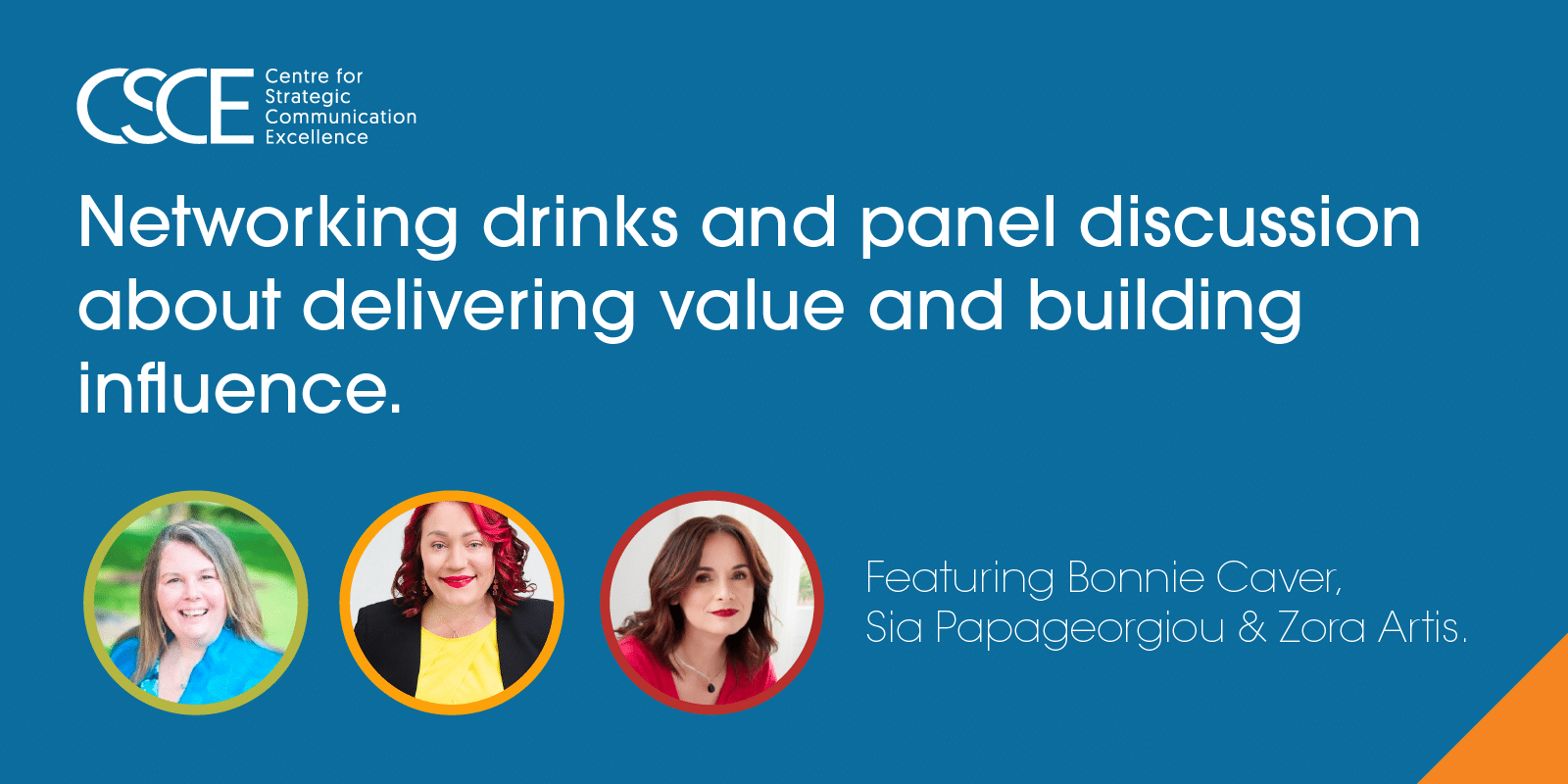 Networking Drinks And Panel Discussion – Delivering Value And Building ...