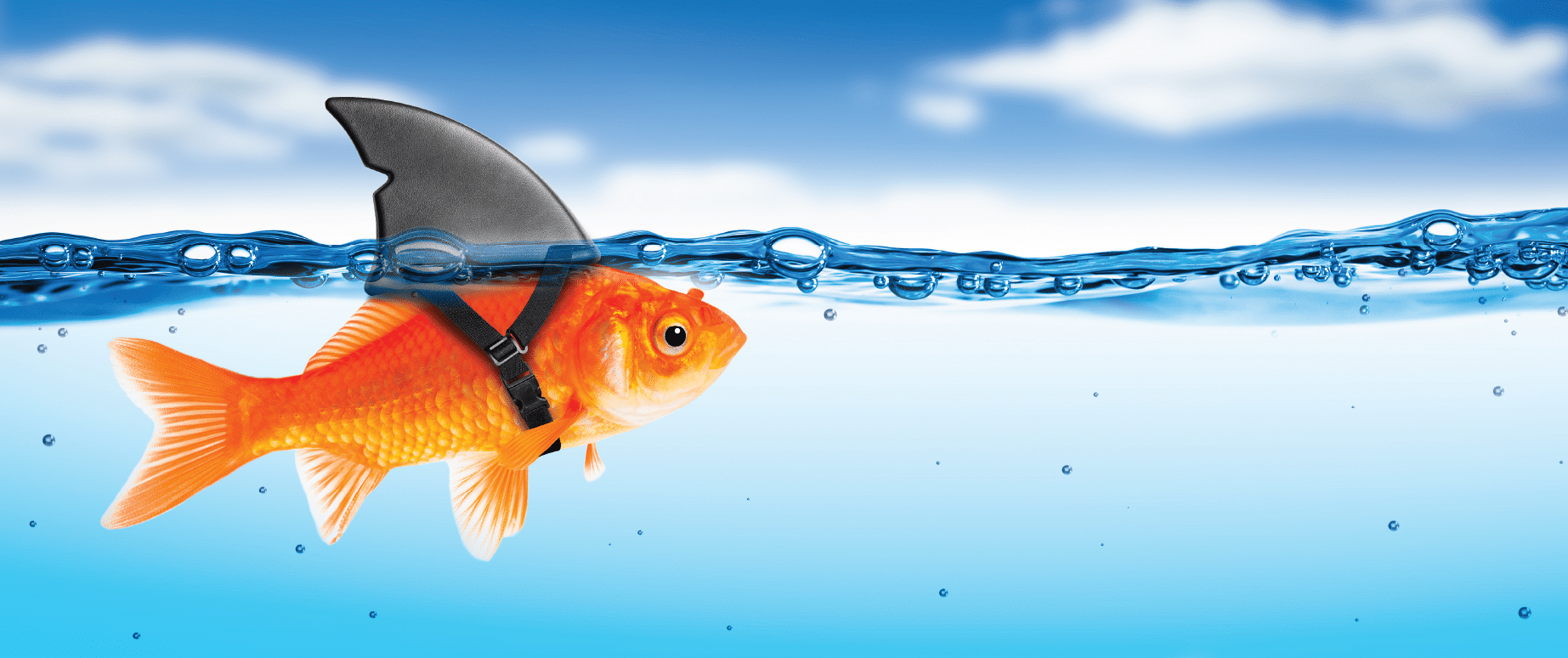 How Leaders Think and Operate • CSCE